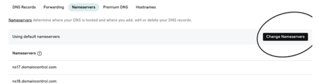 A Simple Guide: Changing Domain DNS Nameservers in GoDaddy | Blitzmetrics