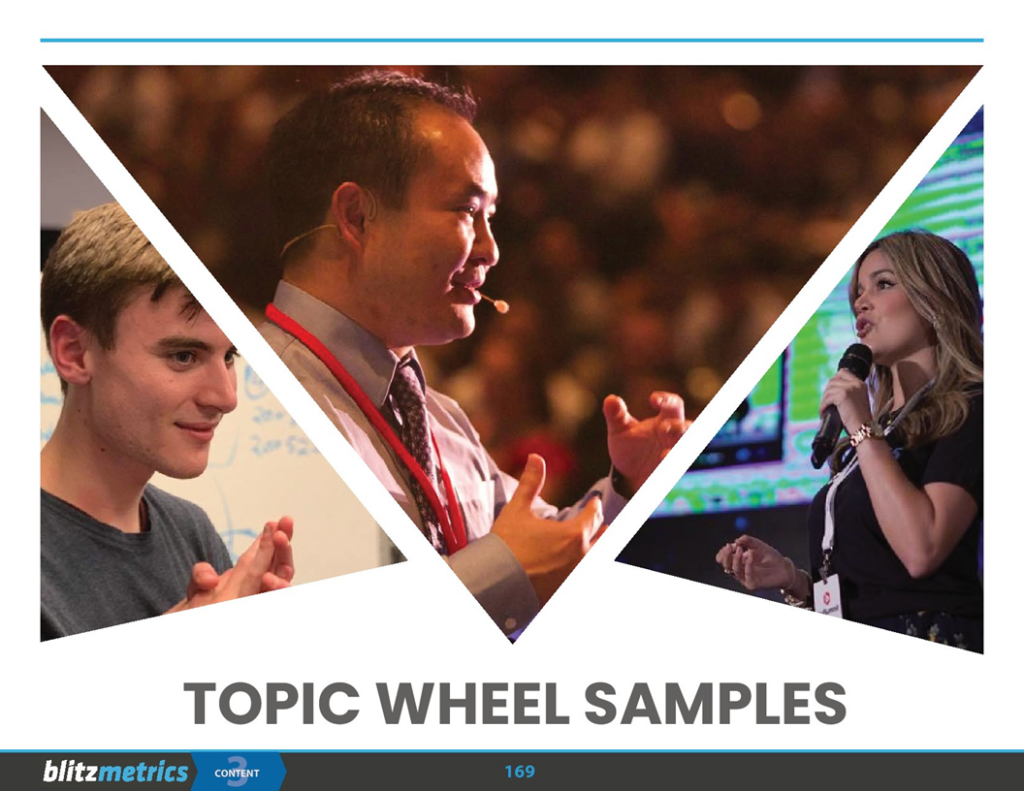Topic Wheels Samples | BlitzMetrics