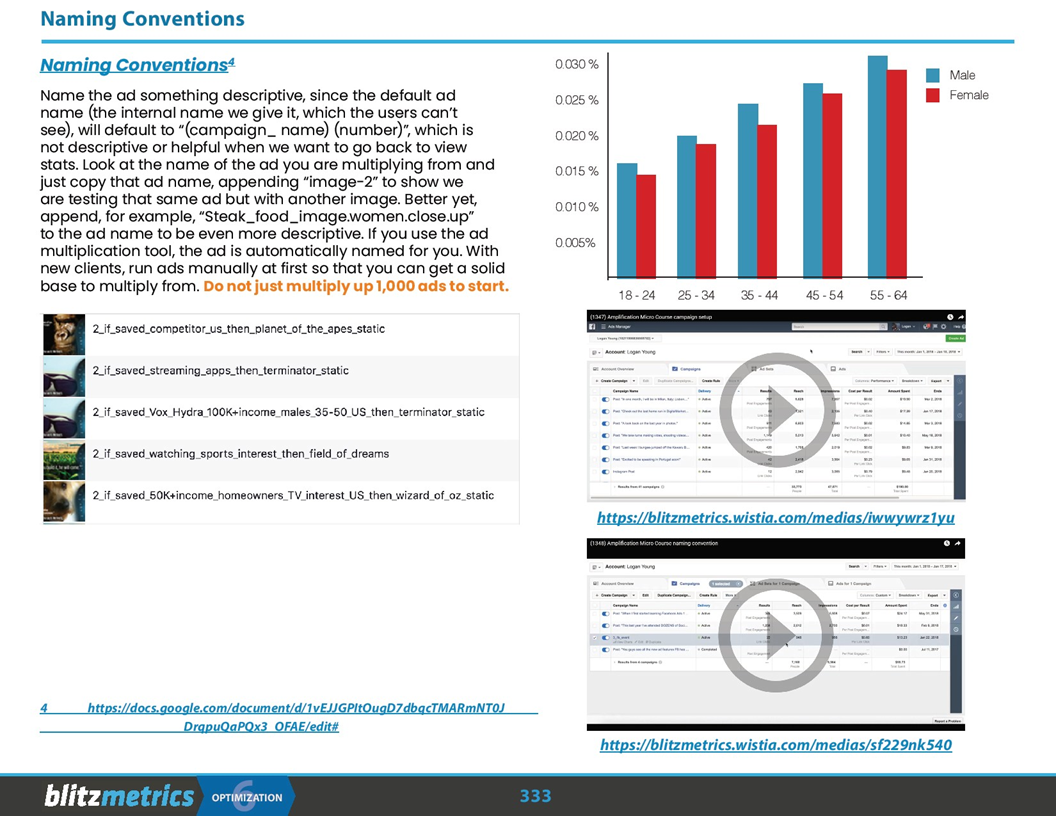 Naming Conventions | BlitzMetrics